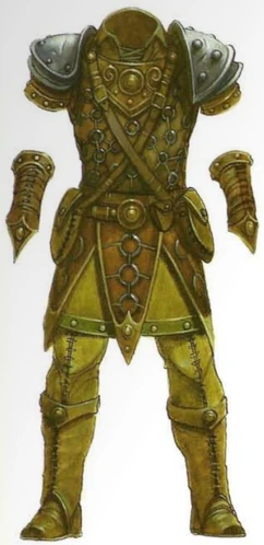 Ring mail | Forgotten Realms Wiki | Fandom