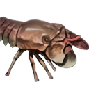 Myrmidon (crustacean) | Forgotten Realms Wiki | Fandom