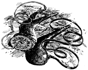 Waterskin | Forgotten Realms Wiki | Fandom