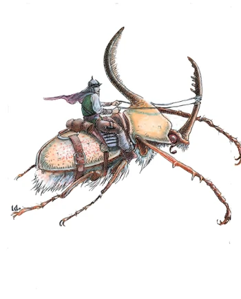 Beetle | Forgotten Realms Wiki | Fandom