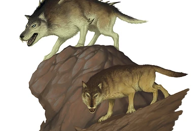 winter wolves dnd