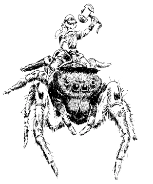 Steeder | Forgotten Realms Wiki | Fandom