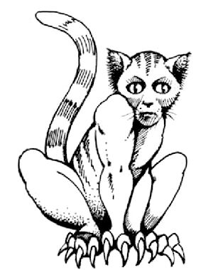 Tabaxi | Forgotten Realms Wiki | Fandom