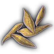 Yellow musk creeper | Forgotten Realms Wiki | Fandom