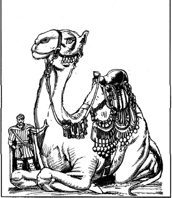 Camel of the Pearl | Forgotten Realms Wiki | Fandom