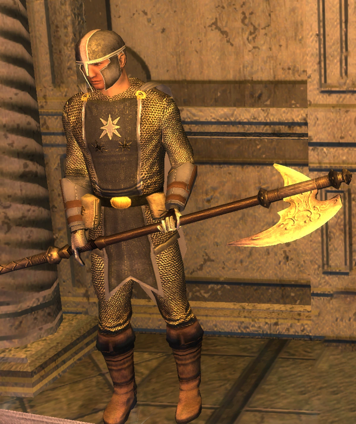 Graycloaks of Neverwinter | Forgotten Realms Wiki | Fandom