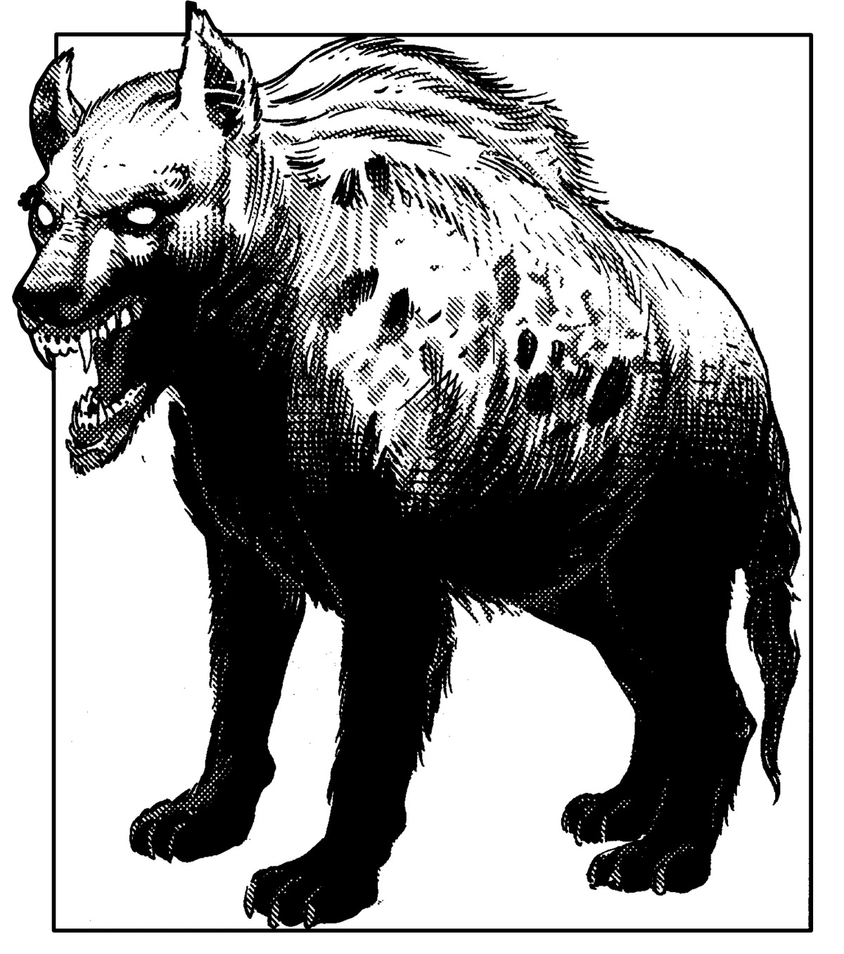 Werehyena | Forgotten Realms Wiki | Fandom