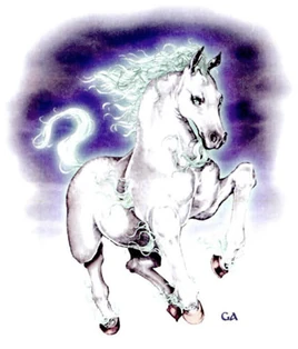 Asperii | Forgotten Realms Wiki | Fandom