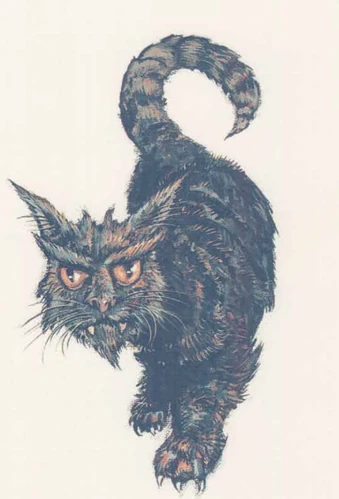 Cath shee | Forgotten Realms Wiki | Fandom