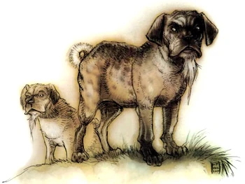 Foo dog | Forgotten Realms Wiki | Fandom