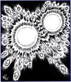 Nyth (creature) | Forgotten Realms Wiki | Fandom