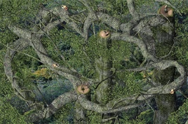 Tree of Life | Forgotten Realms Wiki | Fandom