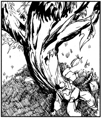 Singing tree | Forgotten Realms Wiki | Fandom