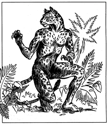 Tabaxi | Forgotten Realms Wiki | Fandom