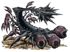 Rukanyr | Forgotten Realms Wiki | Fandom