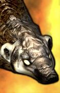 Dire badger | Forgotten Realms Wiki | Fandom