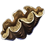 Giant clam | Forgotten Realms Wiki | Fandom