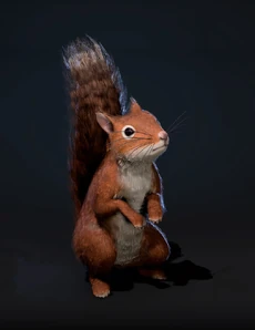Squirrel | Forgotten Realms Wiki | Fandom