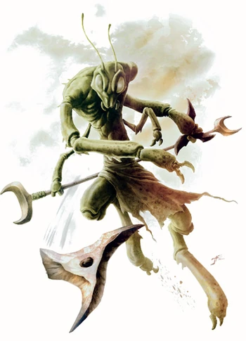 Chatkcha | Forgotten Realms Wiki | Fandom