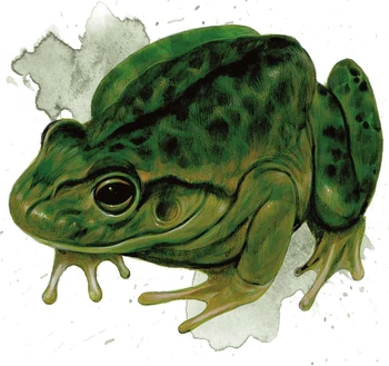 Giant frog | Forgotten Realms Wiki | Fandom