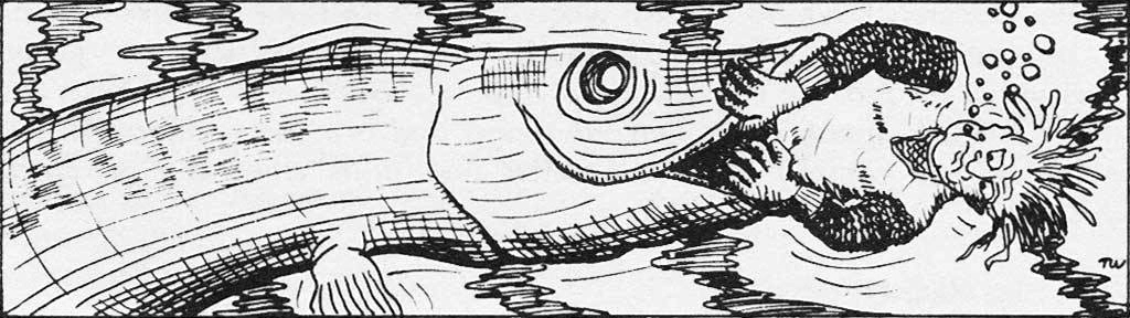 Giant pike | Forgotten Realms Wiki | Fandom