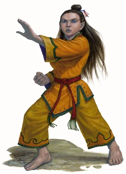Monk | Forgotten Realms Wiki | Fandom