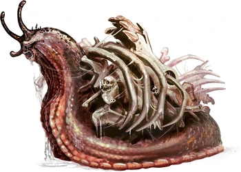 Bone whelk | Forgotten Realms Wiki | Fandom