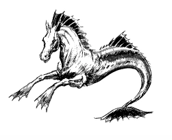 Hippocampus | Forgotten Realms Wiki | Fandom