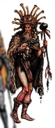 Shaman | Forgotten Realms Wiki | Fandom
