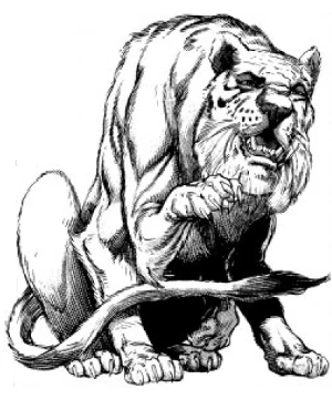 Cantobele | Forgotten Realms Wiki | Fandom