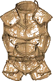 Armor of the hart | Forgotten Realms Wiki | Fandom