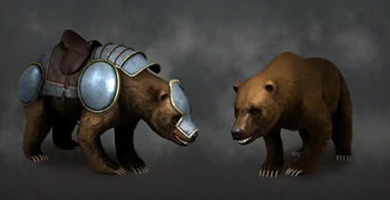 Brown bear | Forgotten Realms Wiki | Fandom