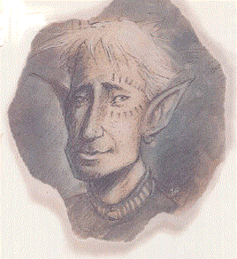 Bralani | Forgotten Realms Wiki | Fandom