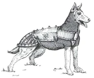 Dog | Forgotten Realms Wiki | Fandom