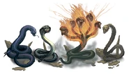 Naga | Forgotten Realms Wiki | Fandom