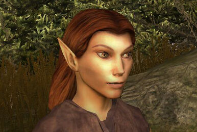 Neverwinter Nights 2 Portraits