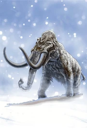 Mammoth | Forgotten Realms Wiki | Fandom