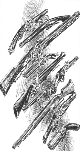 Firearm | Forgotten Realms Wiki | Fandom