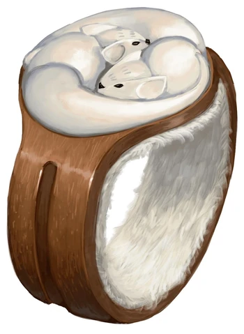 Ring of warmth | Forgotten Realms Wiki | Fandom