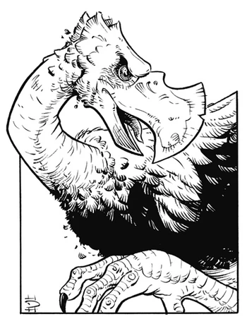 Axe beak | Forgotten Realms Wiki | Fandom