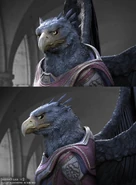 Jarnathan | Forgotten Realms Wiki | Fandom