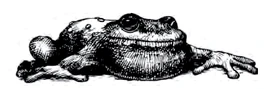 Giant frog | Forgotten Realms Wiki | Fandom