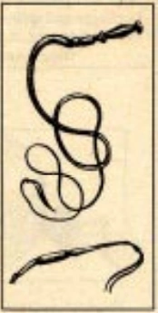 Quirt | Forgotten Realms Wiki | Fandom