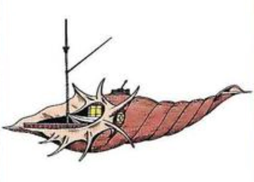 Whelk | Forgotten Realms Wiki | Fandom