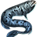 Eel | Forgotten Realms Wiki | Fandom