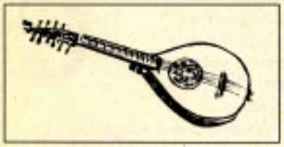 Cittern | Forgotten Realms Wiki | Fandom