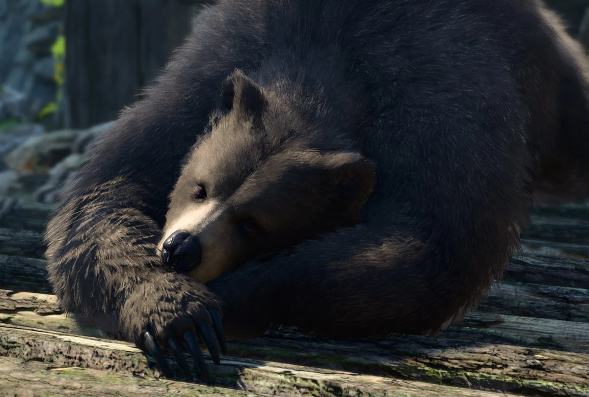 Tuffet | Forgotten Realms Wiki | Fandom