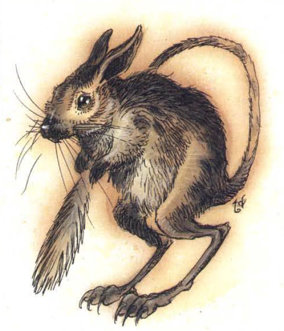 Jarbo | Forgotten Realms Wiki | Fandom