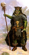 Shaman | Forgotten Realms Wiki | Fandom