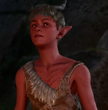 Doni | Forgotten Realms Wiki | Fandom